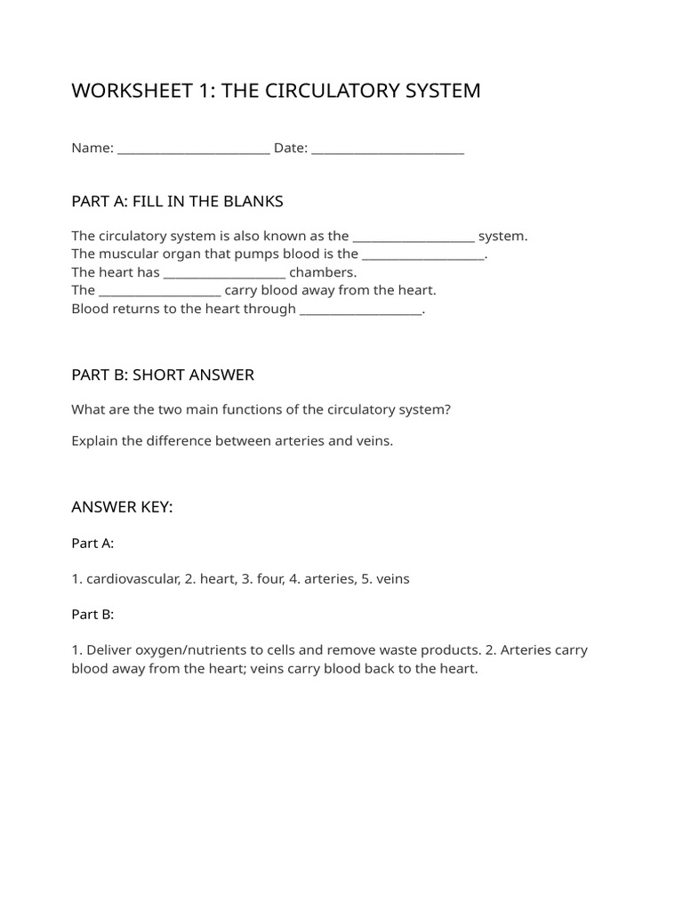 Human Body Systems Overview | PDF