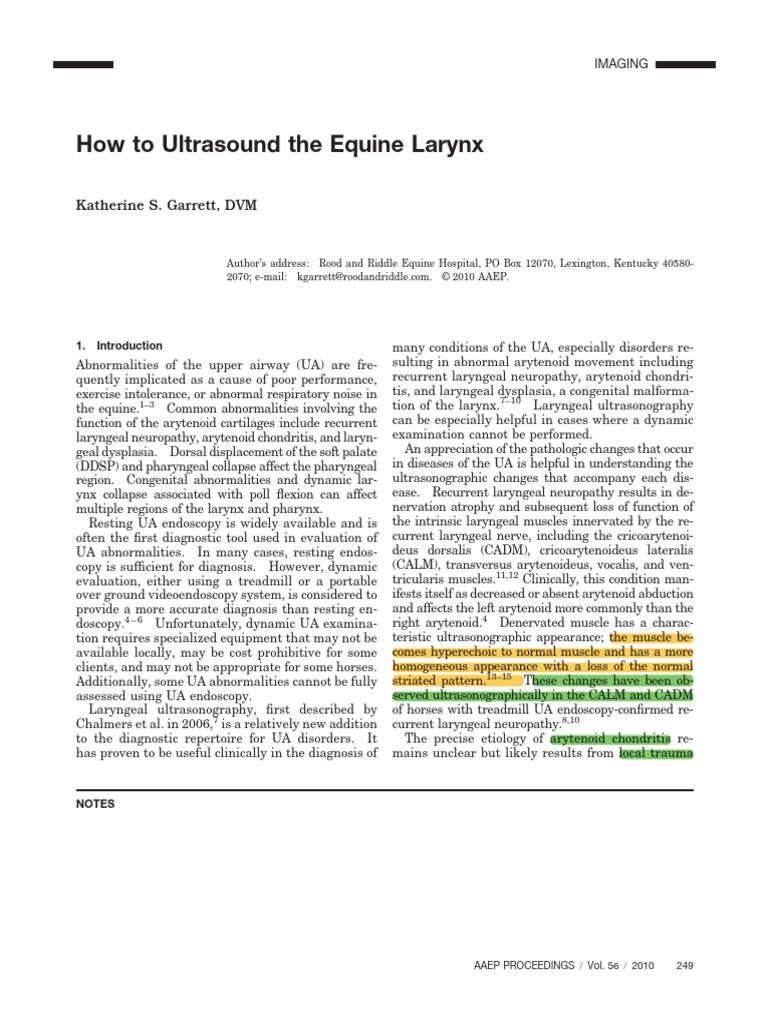 How To Ultrasound The Equine Larynx AAEP 2010 | PDF | Larynx | Medical ...