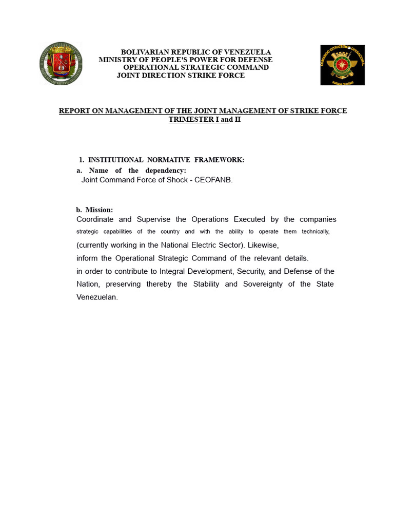 Venezuela Joint Command Shock Force Report | PDF | Military