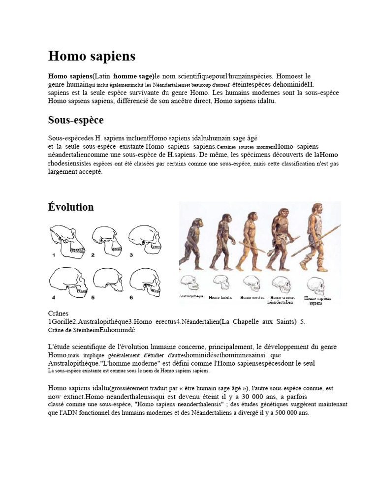 Évolution et classification d'Homo sapiens | PDF | Homo | Évolution humaine