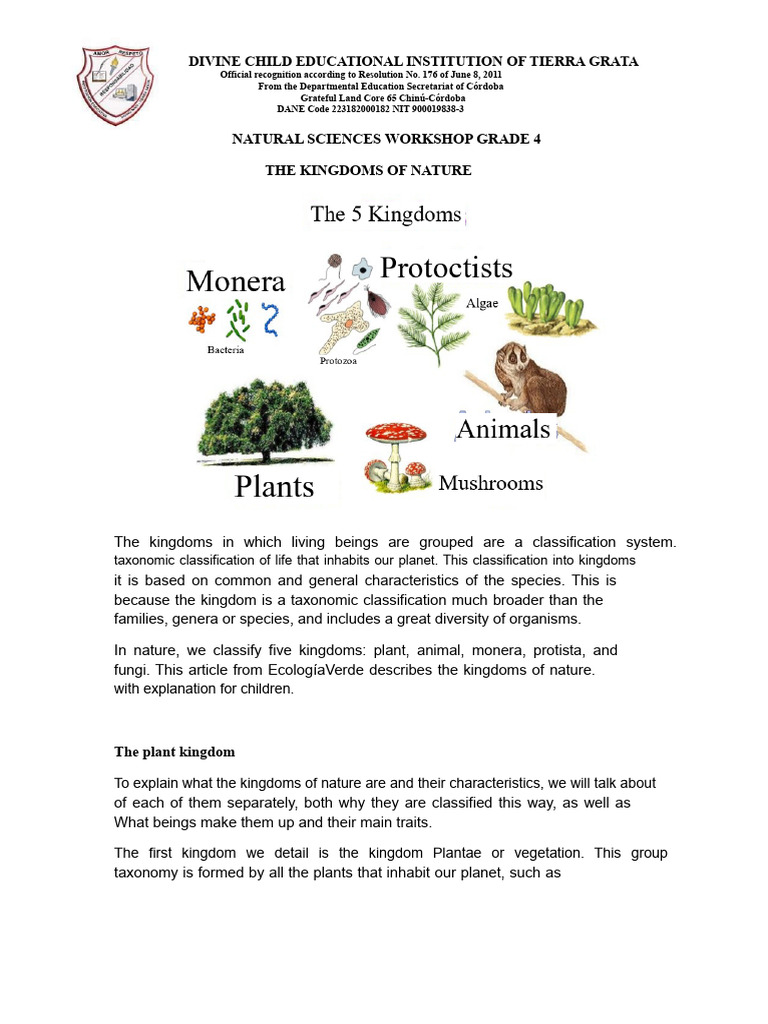 Kingdoms of Nature for Grade 4 Students | PDF | Fungus | Cell (Biology)