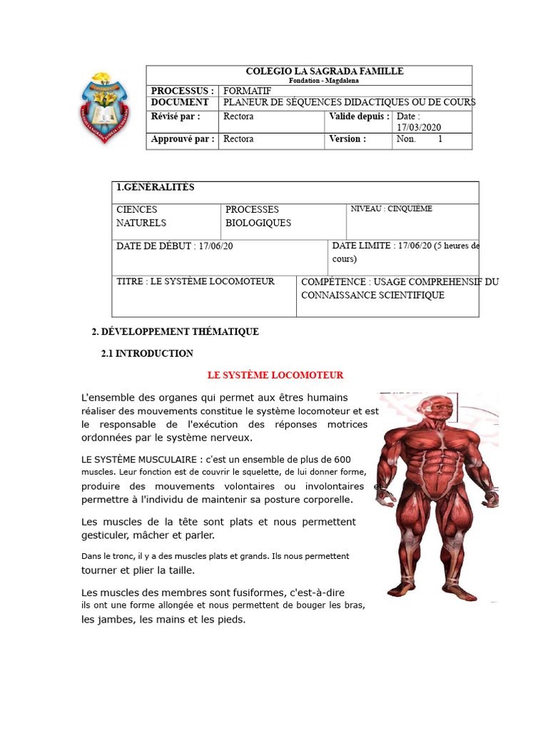 Comprendre le Système Locomoteur | PDF | Squelette | Os