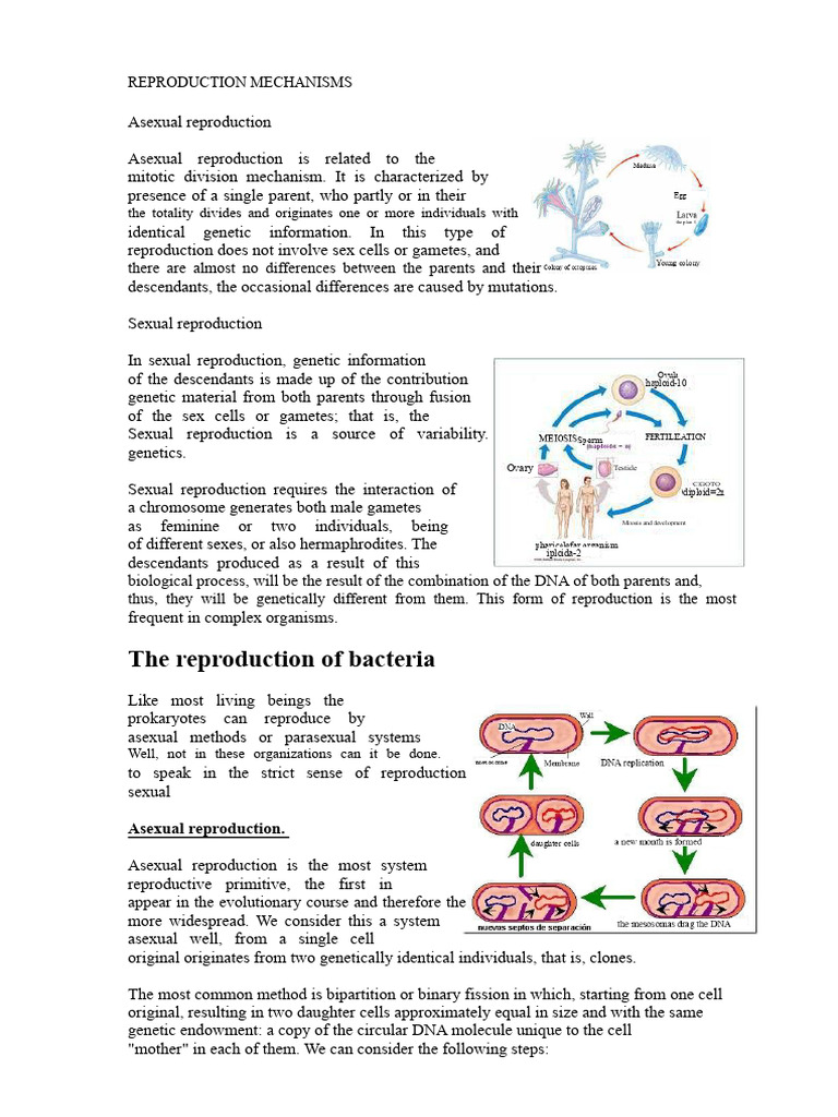 Reproductive mechanisms | PDF | Sexual Reproduction | Reproduction