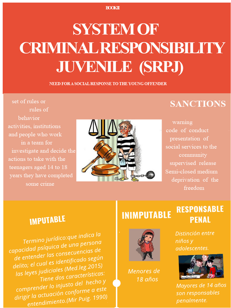 Infographic On Criminal Responsibility | PDF