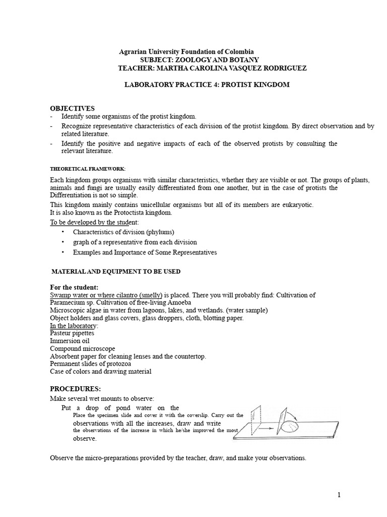 Protist Kingdom Lab Practice Guide | PDF | Biology | Organisms