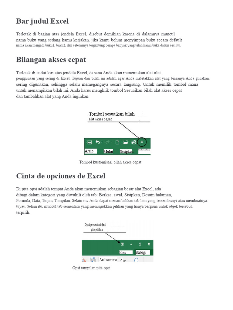Bagian-Bagian Dari Jendela Excel 2019 | PDF