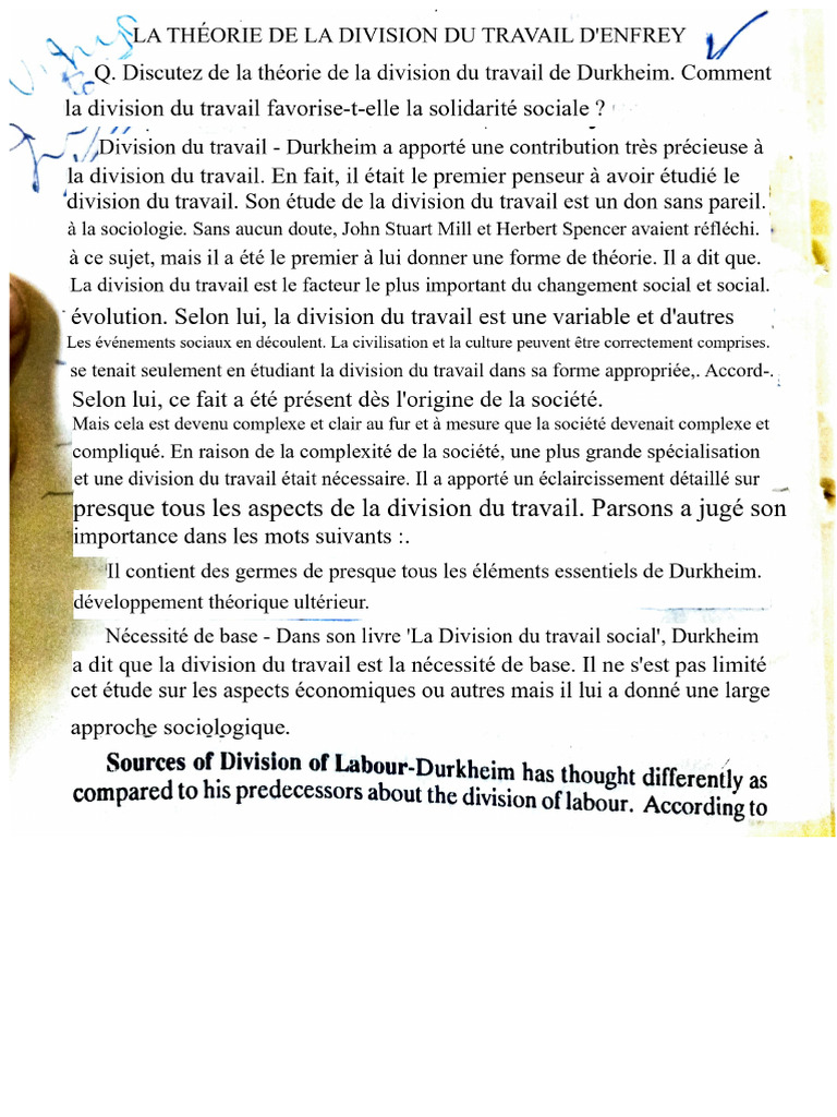 La Théorie de La Division Du Travail de Durkheim | PDF