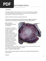 Purple Cabbage Acid-Base Indicator Experiment | PDF | Ph | Acid