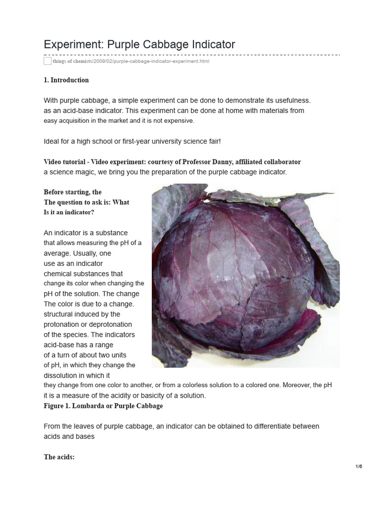 Purple Cabbage as pH Indicator Experiment | PDF | Ph | Acid