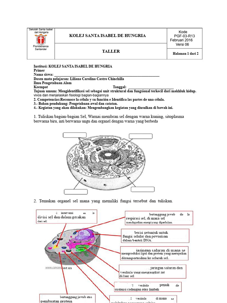 Aktivitas Pembelajaran Sel di Sekolah | PDF
