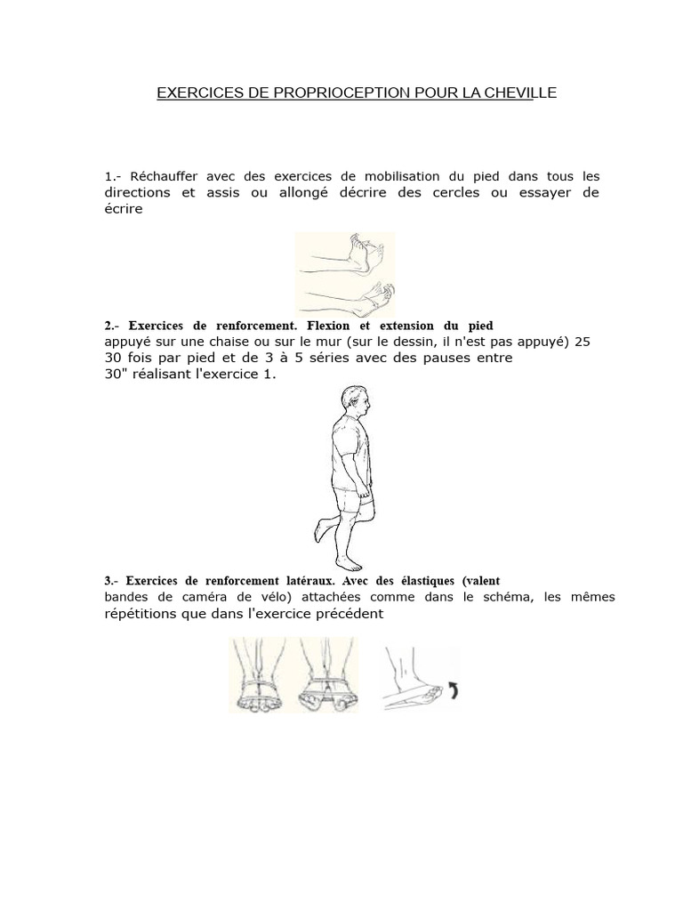 Exercices de proprioception cheville | PDF