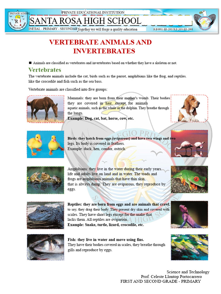 26-08-20 - Science and Technology - Vertebrate and Invertebrate Animals ...