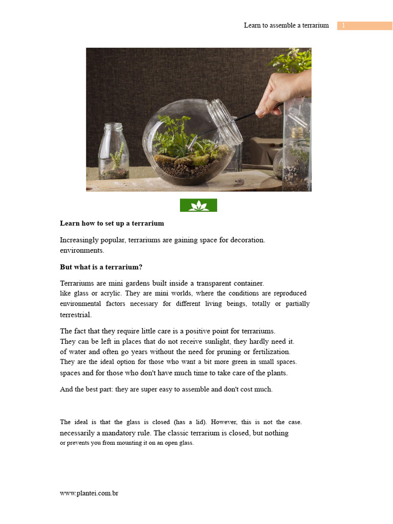 How to create a terrarium | PDF | Water | Topsoil