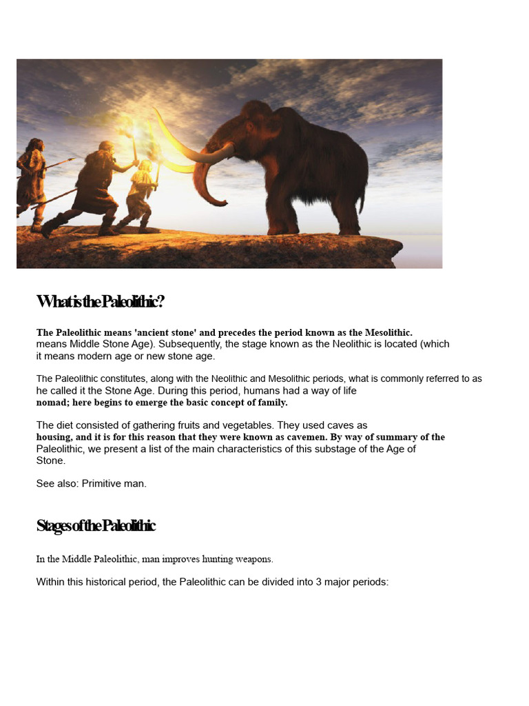 What Is The Paleolithic? | PDF | Paleolithic | Homo