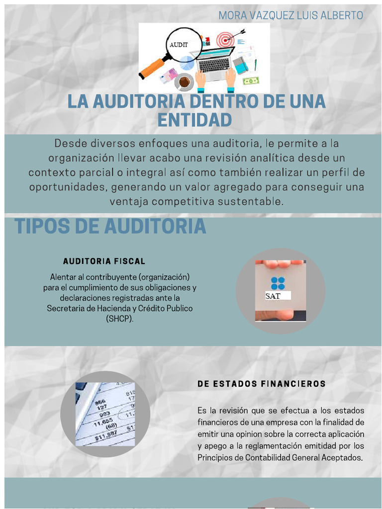 Types of Audit Infographics | PDF
