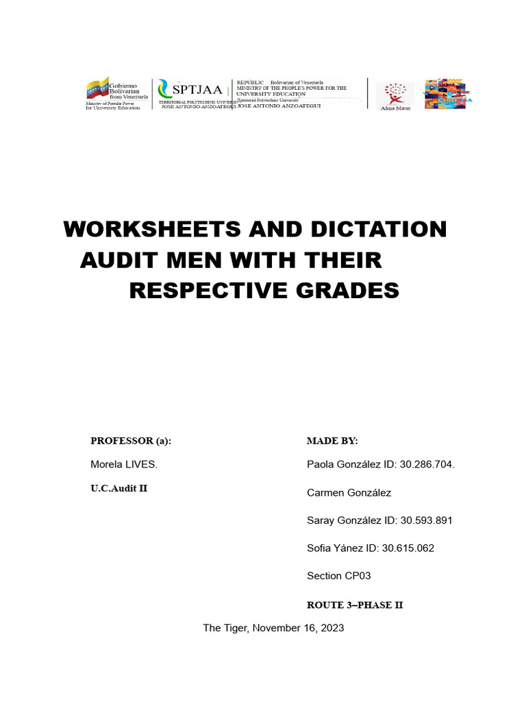 Working Papers and Audit Report With Their Respective Notes | PDF ...
