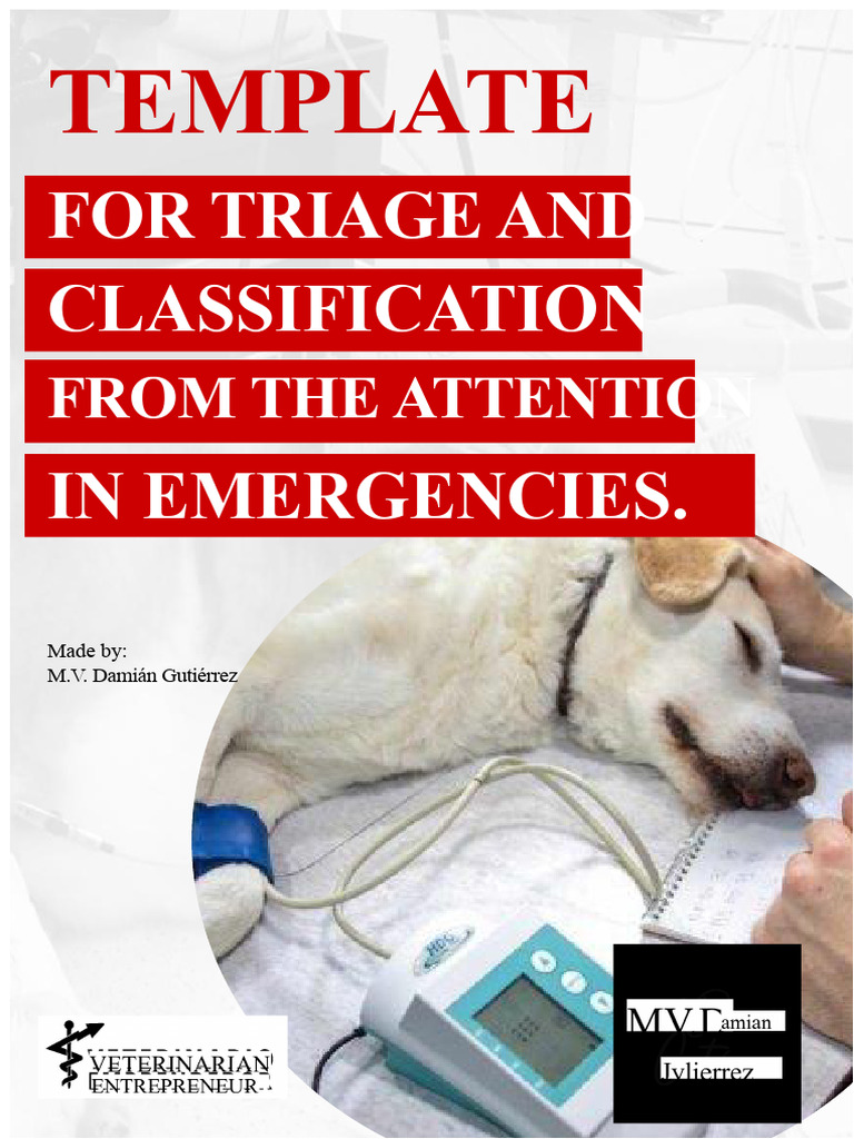 Template for Triage and Classification of Emergency Care (2) | PDF