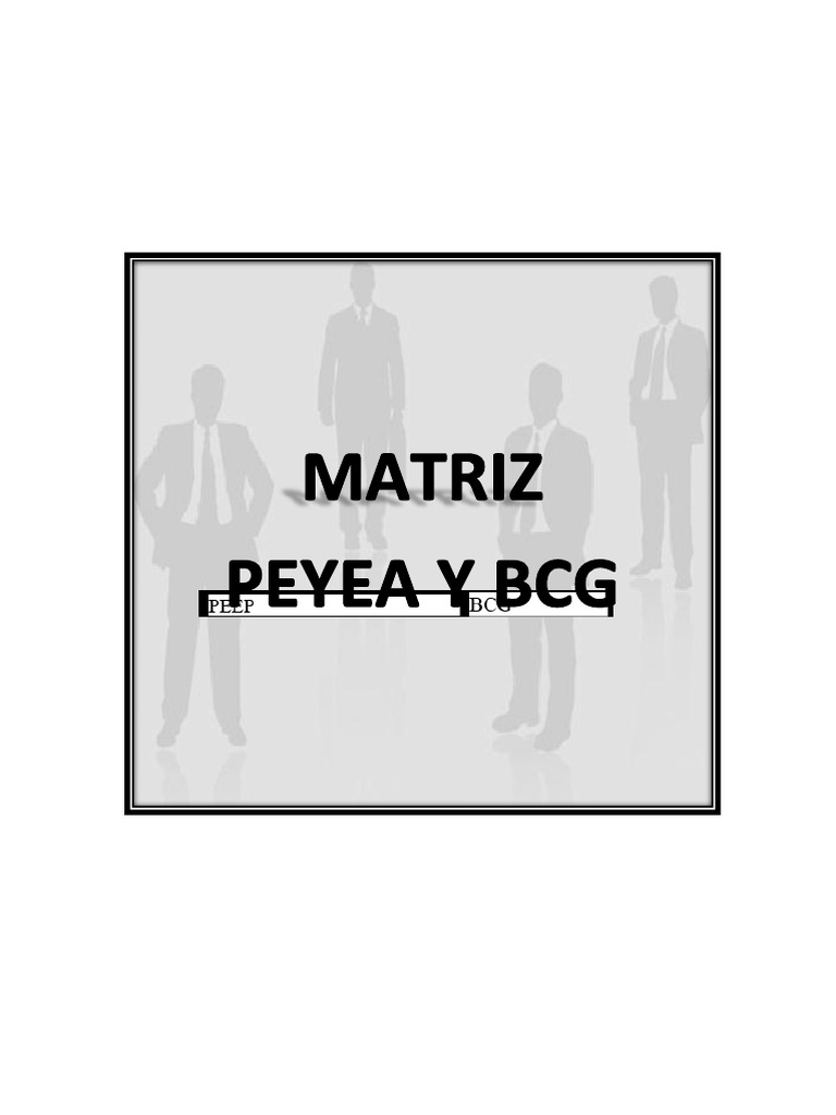 Matriks Peyea Dan BCG | PDF