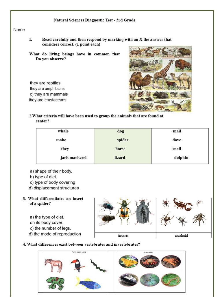Diagnostic Test - Natural Sciences - 3rd Grade | PDF | Water | Habitat