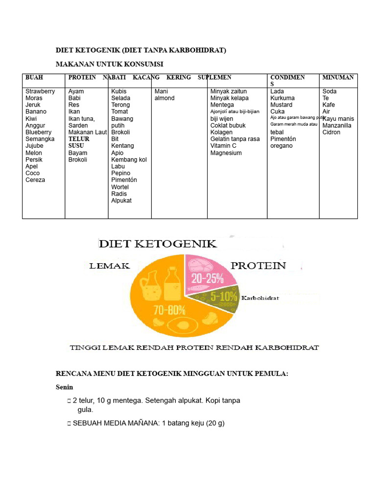 Rencana Diet Ketogenik Mingguan untuk Pemula | PDF