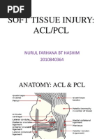 Aspetar Hamstring Protocol | PDF | Anatomical Terms Of Motion | Knee