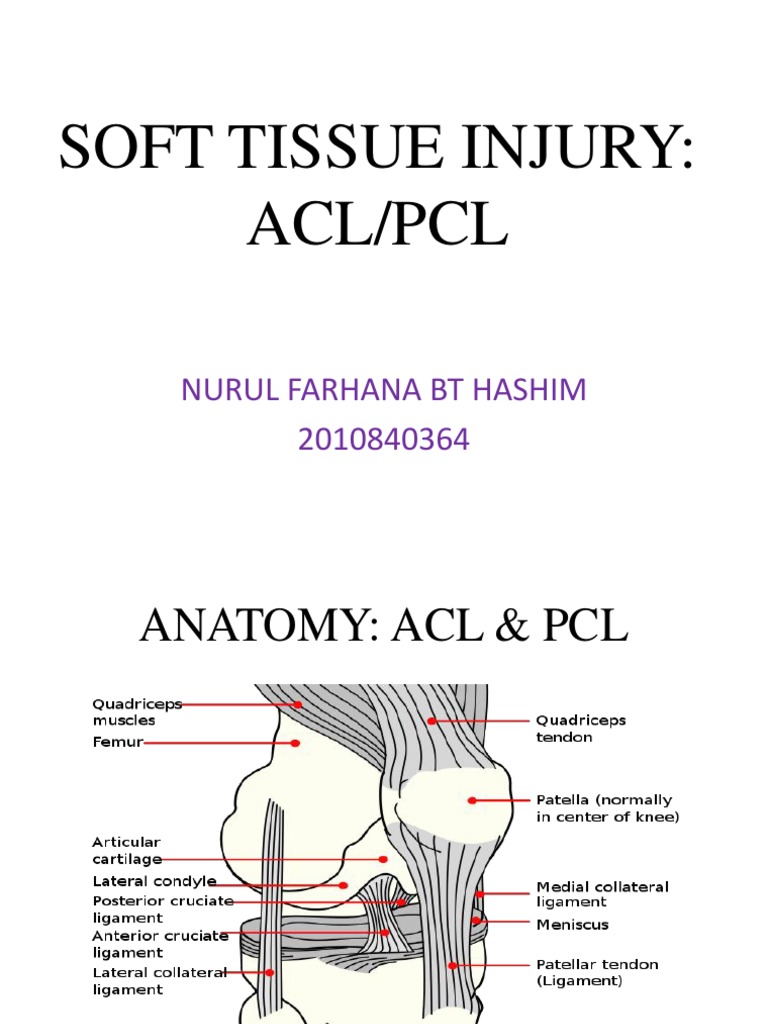 ACL and PCL Injury Overview | PDF | Knee | Dance Science
