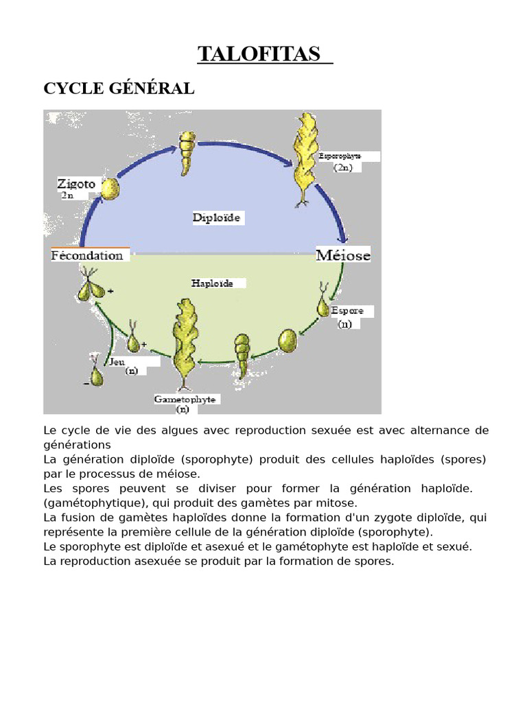 Cycle de vie des algues et bryophytes | PDF | Interactions biologiques ...