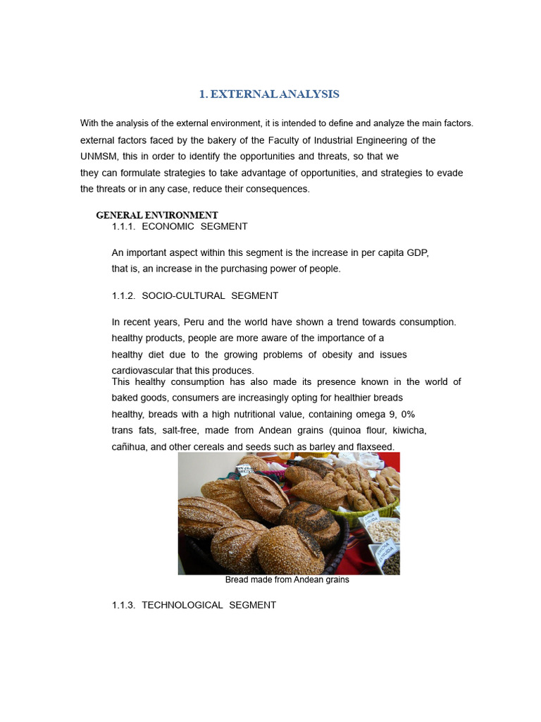 External Analysis of UNMSM Bakery | PDF | Bakery | Cereals
