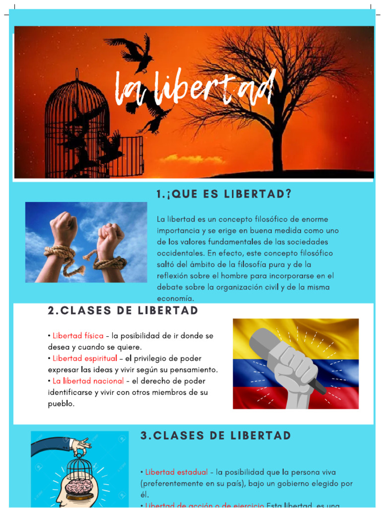 Infographic of Freedom | PDF