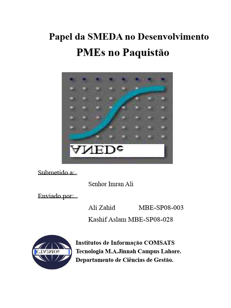 Papel Da SMEDA No Desenvolvimento de PME's No Paquistão | PDF ...