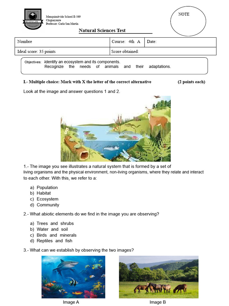 Natural Sciences Ecosystem Test for 4th Grade | PDF | Natural ...