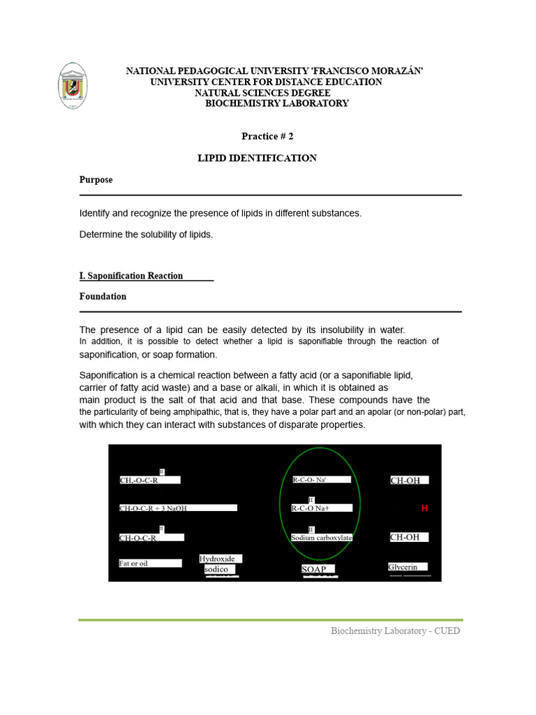 Practice 2. Identification of Lipids | PDF | Solubility | Oil