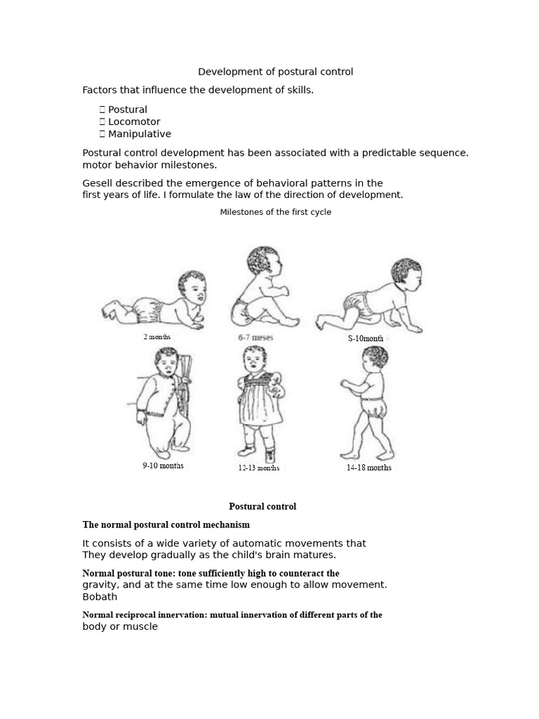 Development of Postural Control | PDF | Anatomical Terms Of Motion ...