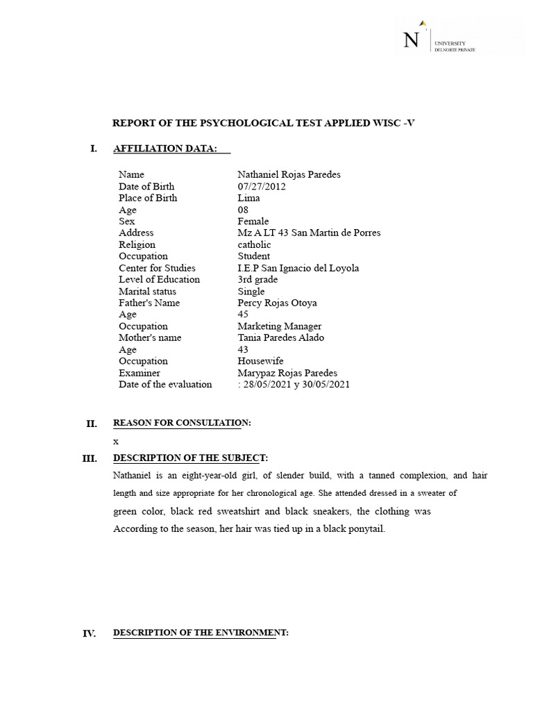 WISC-V Psychological Test Report for Nathaniel | PDF | Memory | Working ...