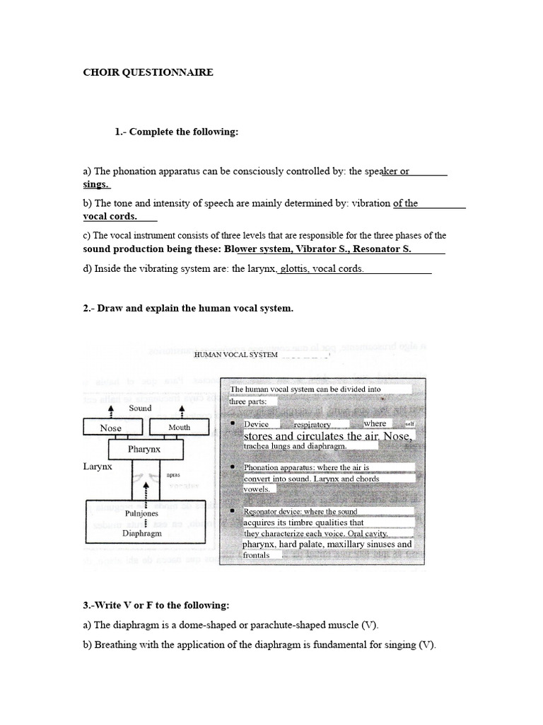 Choir Vocal Technique Questionnaire | PDF | Vocal Pedagogy | Human Voice