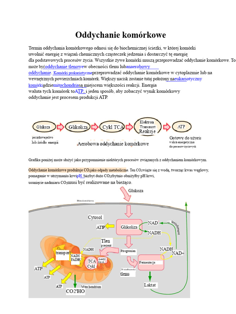 Oddychanie Komórkowe | PDF