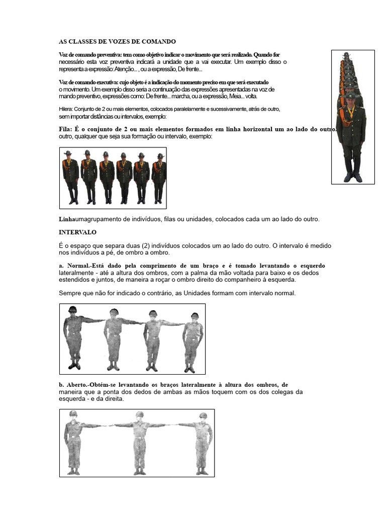 As Classes de Vozes de Comando | PDF | Estado | Cidadania