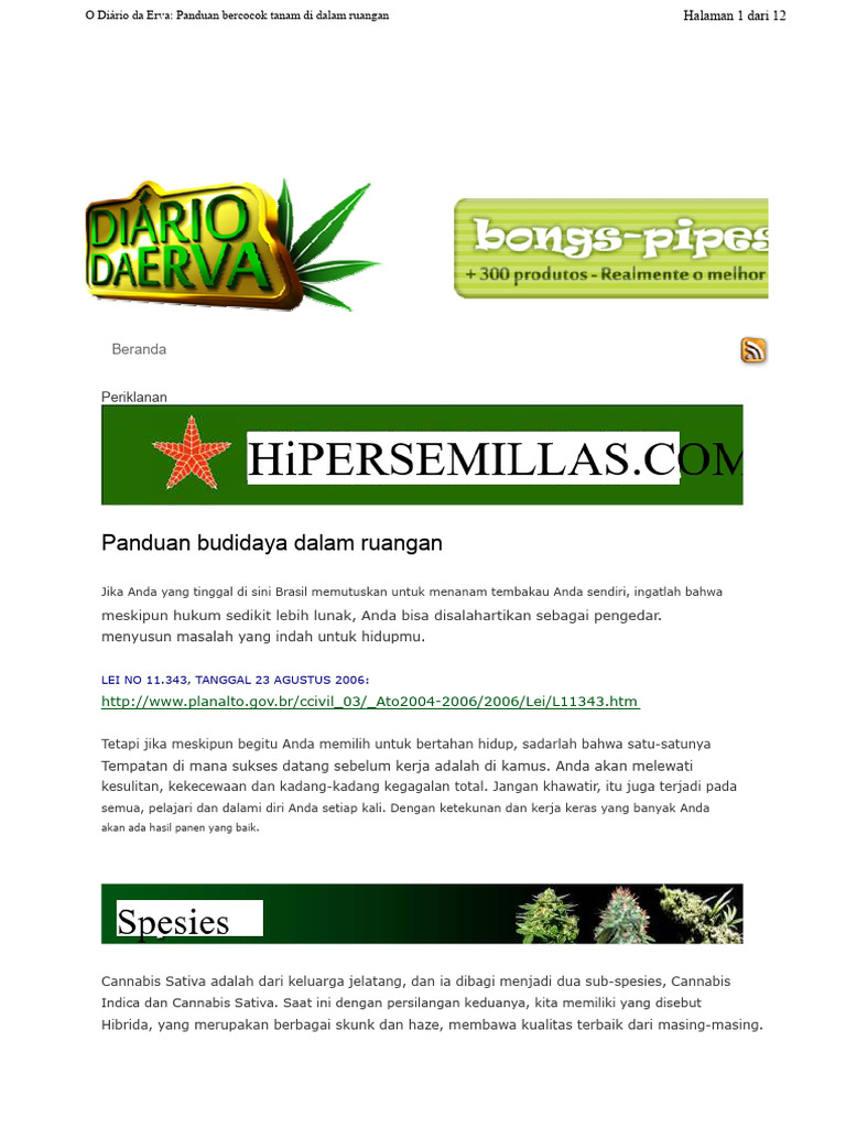 Panduan Budidaya Indoor | PDF