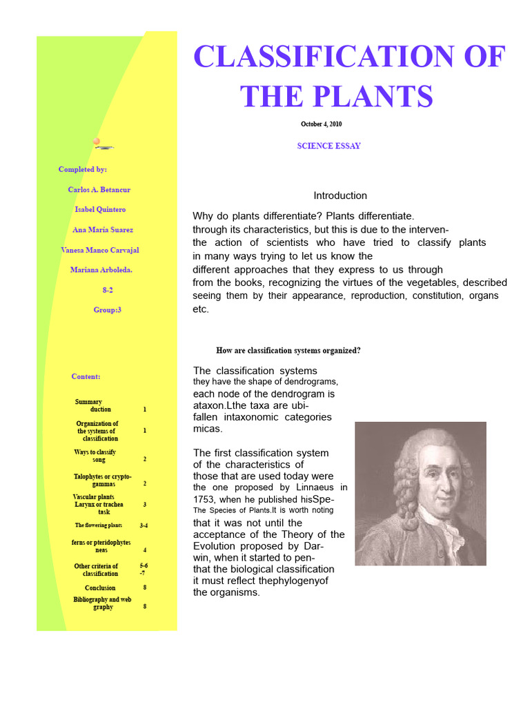 Plant Classification Systems Explained | PDF | Leaf | Flowers