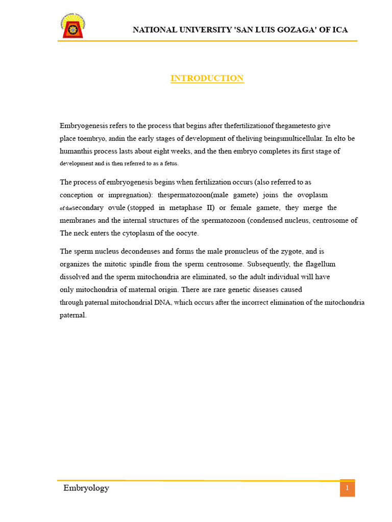 Embryogenesis Stages and Fertilization Process | PDF | Embryo ...