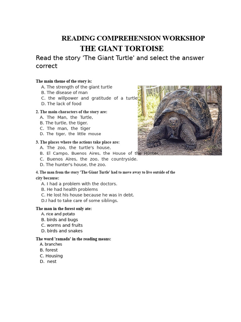 Reading Comprehension About The Giant Turtle | PDF