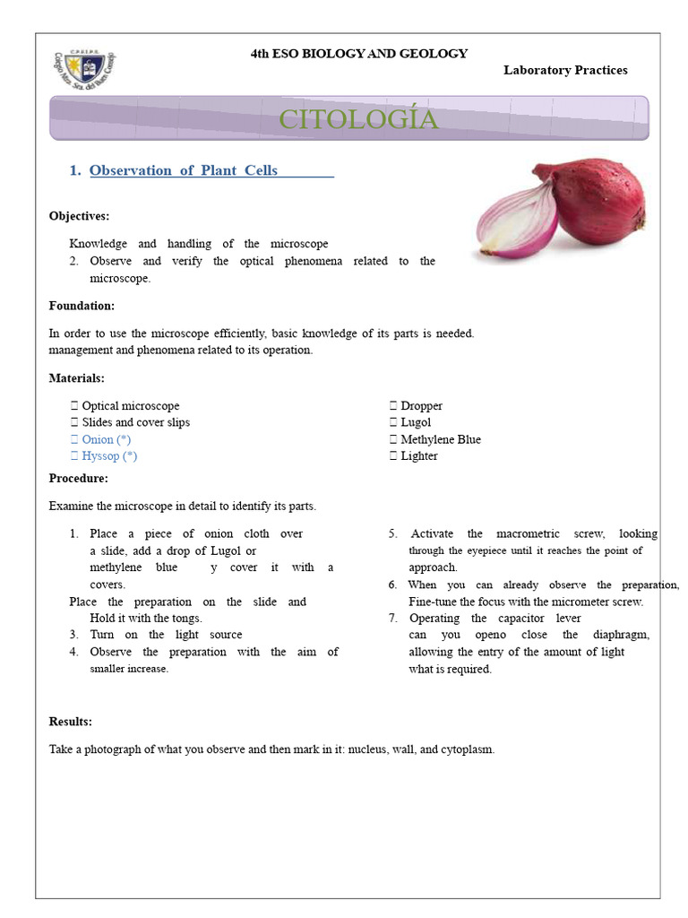 CYTOLOGY. 1. Observation of Plant Cells. 4th ESO BIOLOGY AND GEOLOGY ...