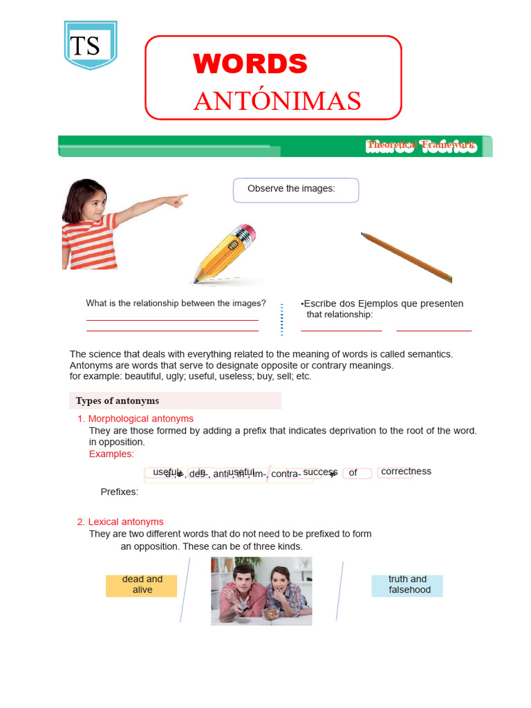Antonyms | PDF | Lexical Semantics | Grammar