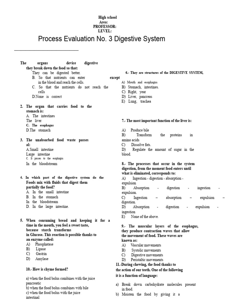 Digestive System Process Evaluation | PDF | Digestion | Human Digestive ...