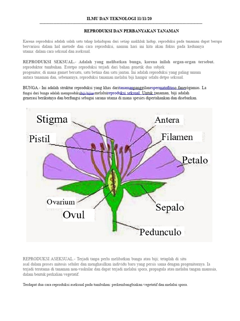 Reproduksi Tanaman: Seksual dan Aseksual | PDF