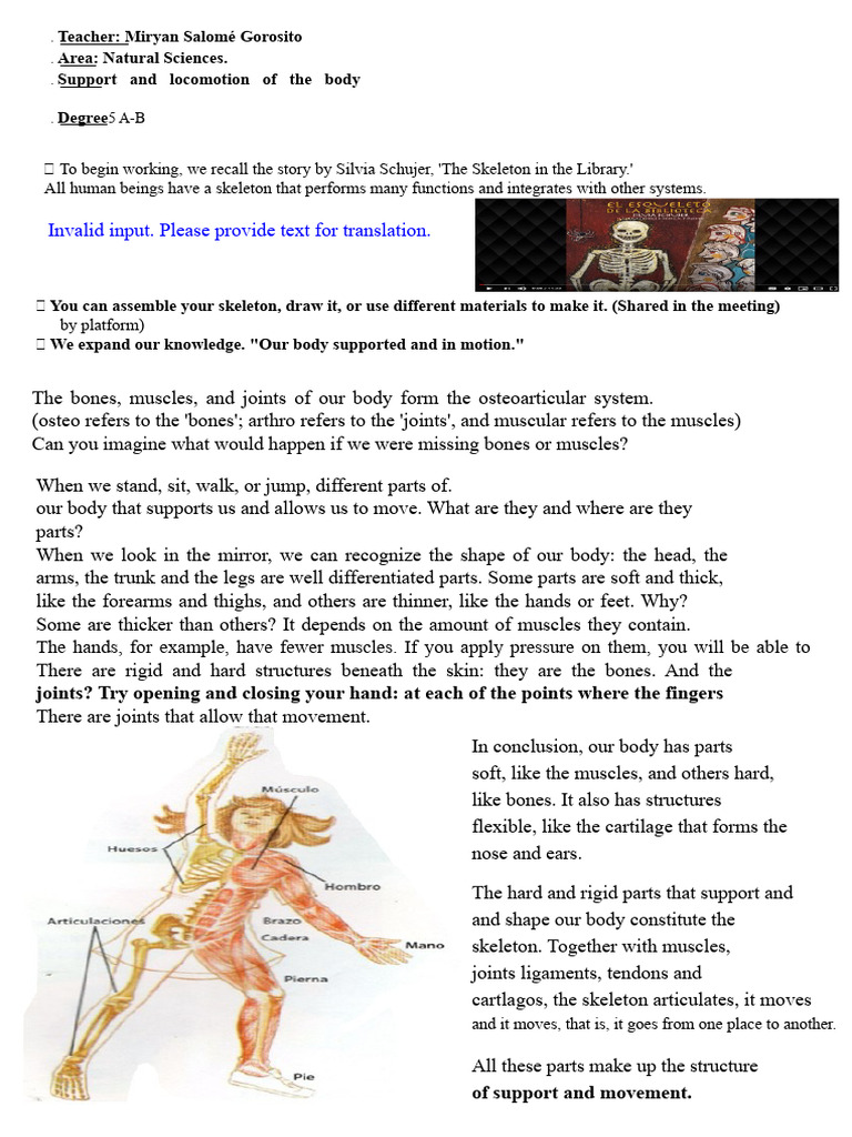 5th Grade Osteoarticular System | PDF | Skeleton | Joint