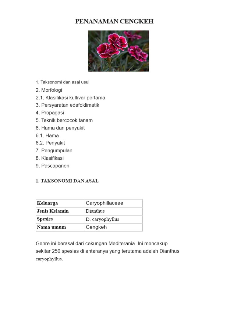 Budidaya Cengkeh | PDF