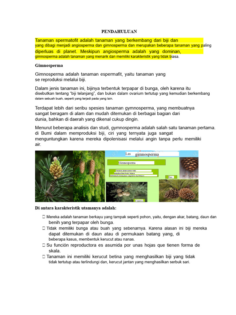Ciri dan Contoh Tanaman Gymnosperma | PDF
