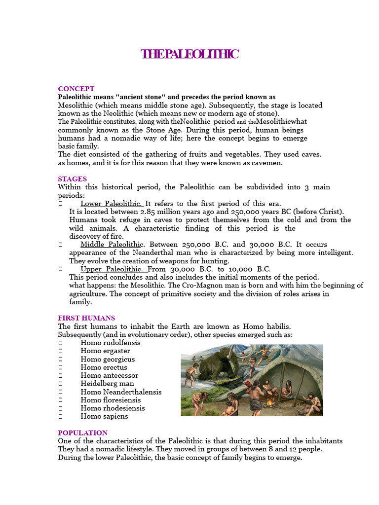 Overview of the Paleolithic Era | PDF | Paleolithic | Homo