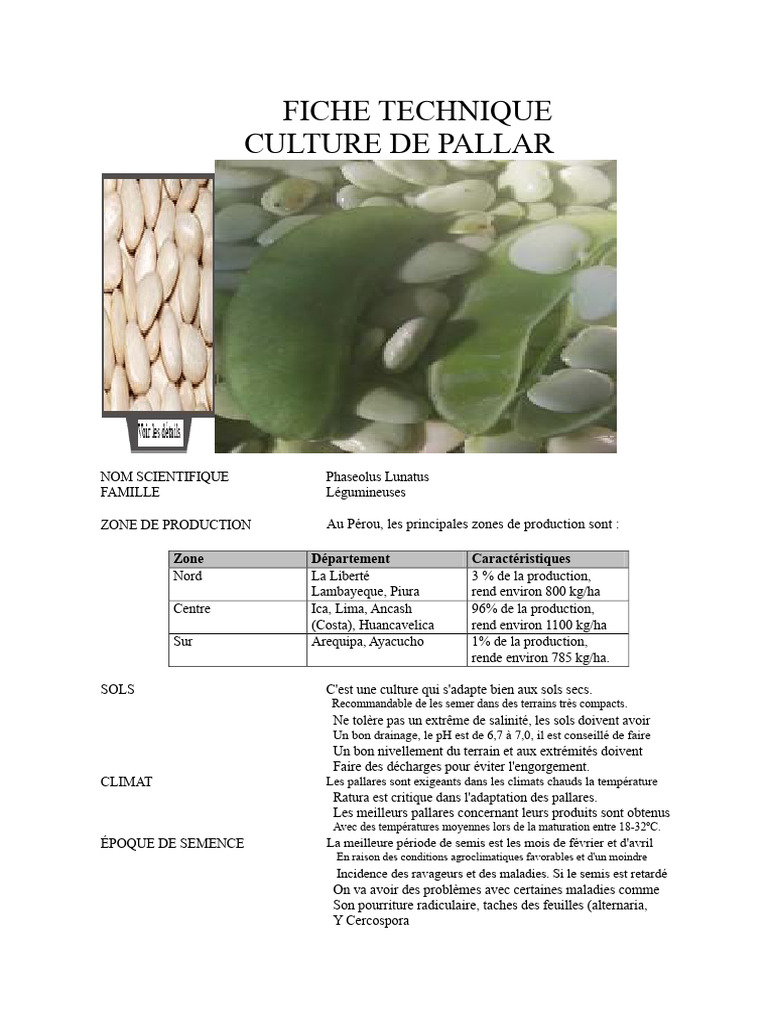 Guide de culture du Pallar au Pérou | PDF | Récolte | Semis